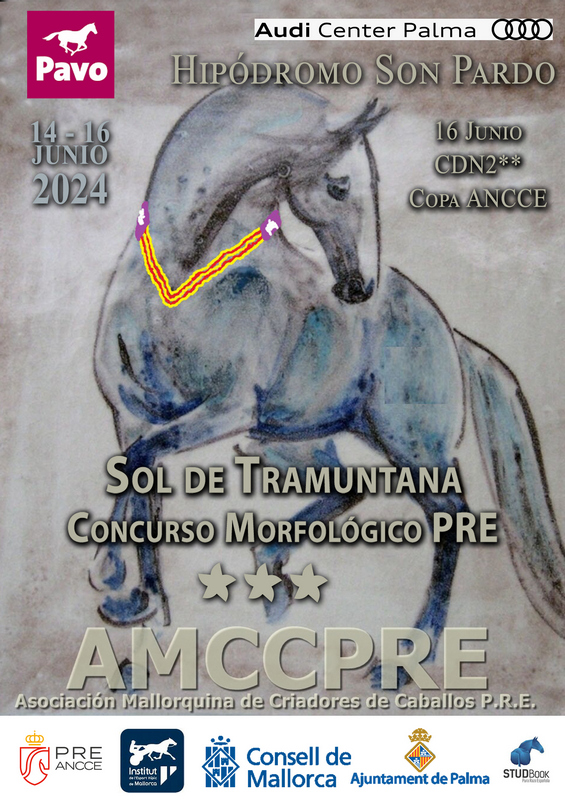 Concursos ANCCE